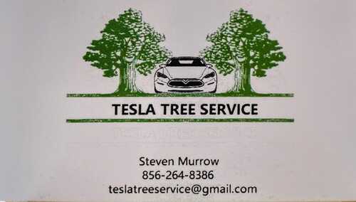 Tesla Tree Service