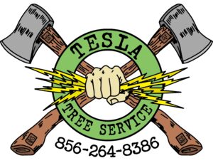 Tesla Tree Service